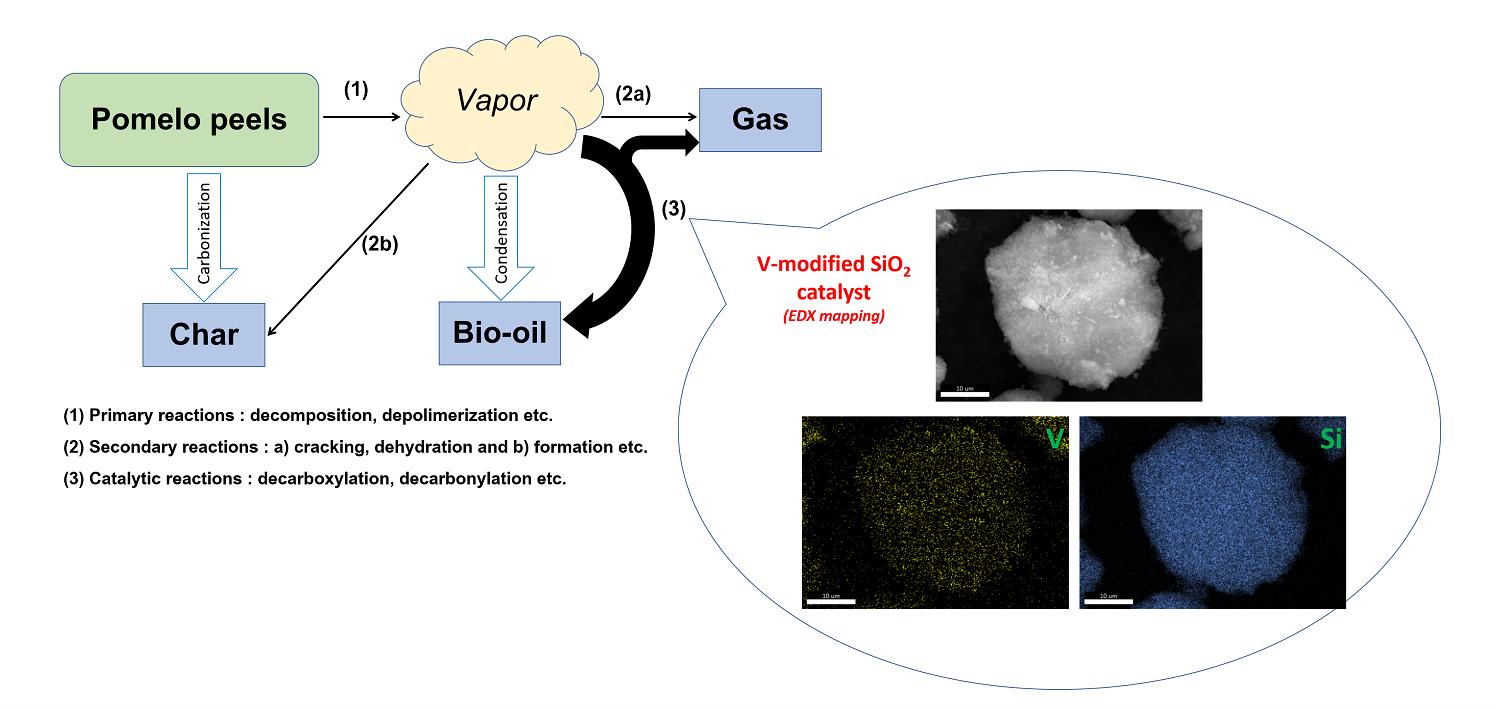 Effect of Particle Size of Rice-Husk Derived Silica on the Pyrolysis of ...